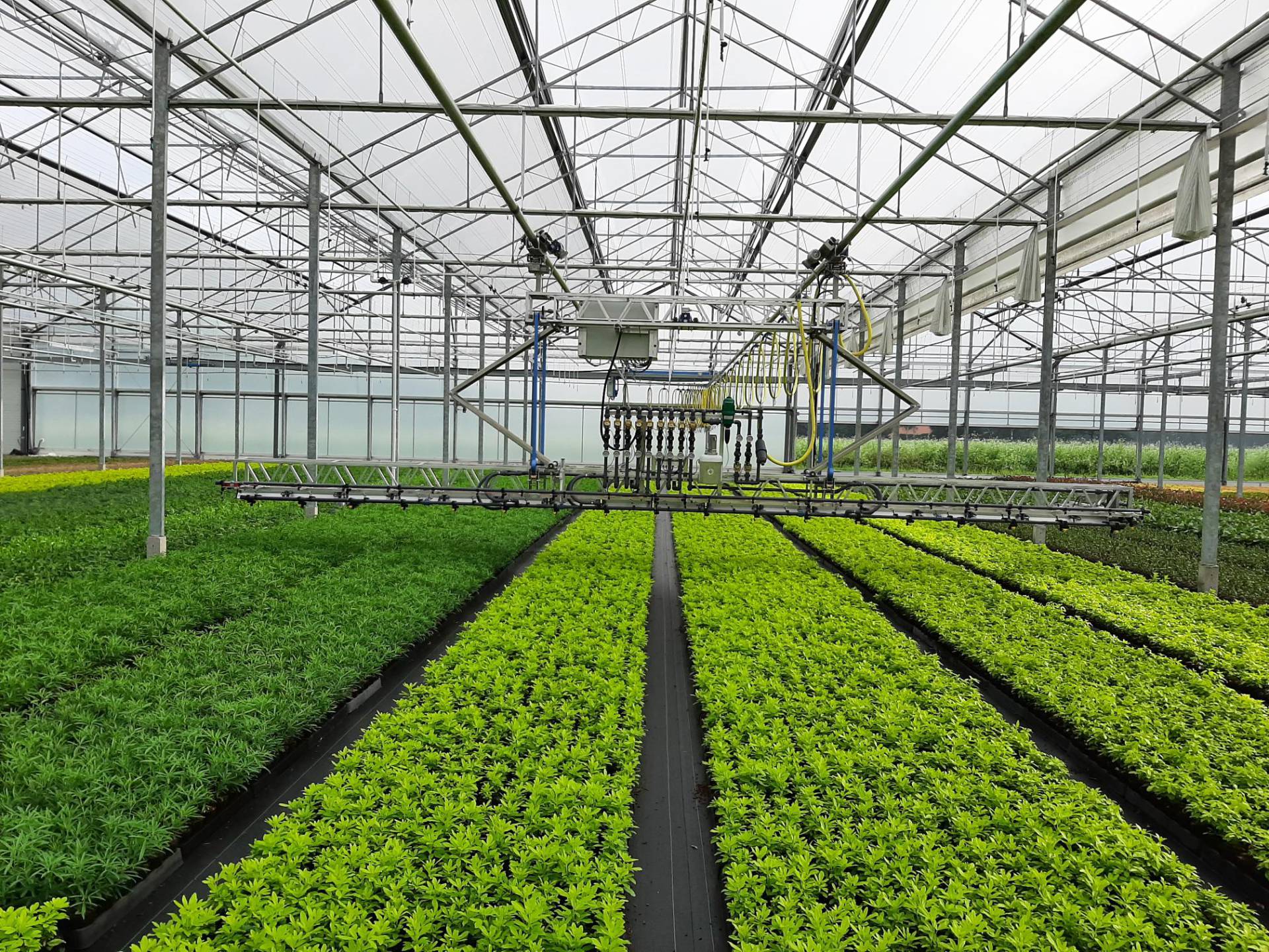 Kwekerij van Lankveld – VDH Foliekassen